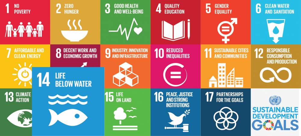 Oceans, Seas & Coasts in UN Sustainable Development Goals - Future ...