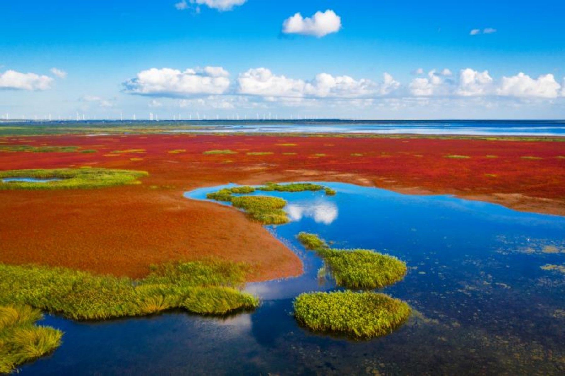 2023 World Coastal Forum - Future Earth Coasts