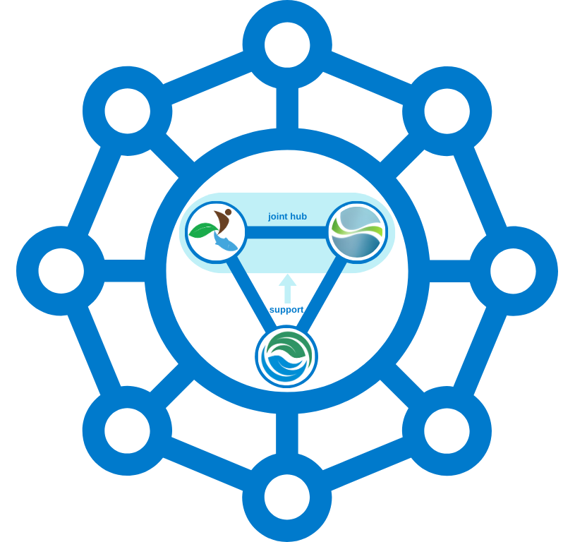 Meta-Network Leads the Way in Pioneering Coastal Sustainability: A ...