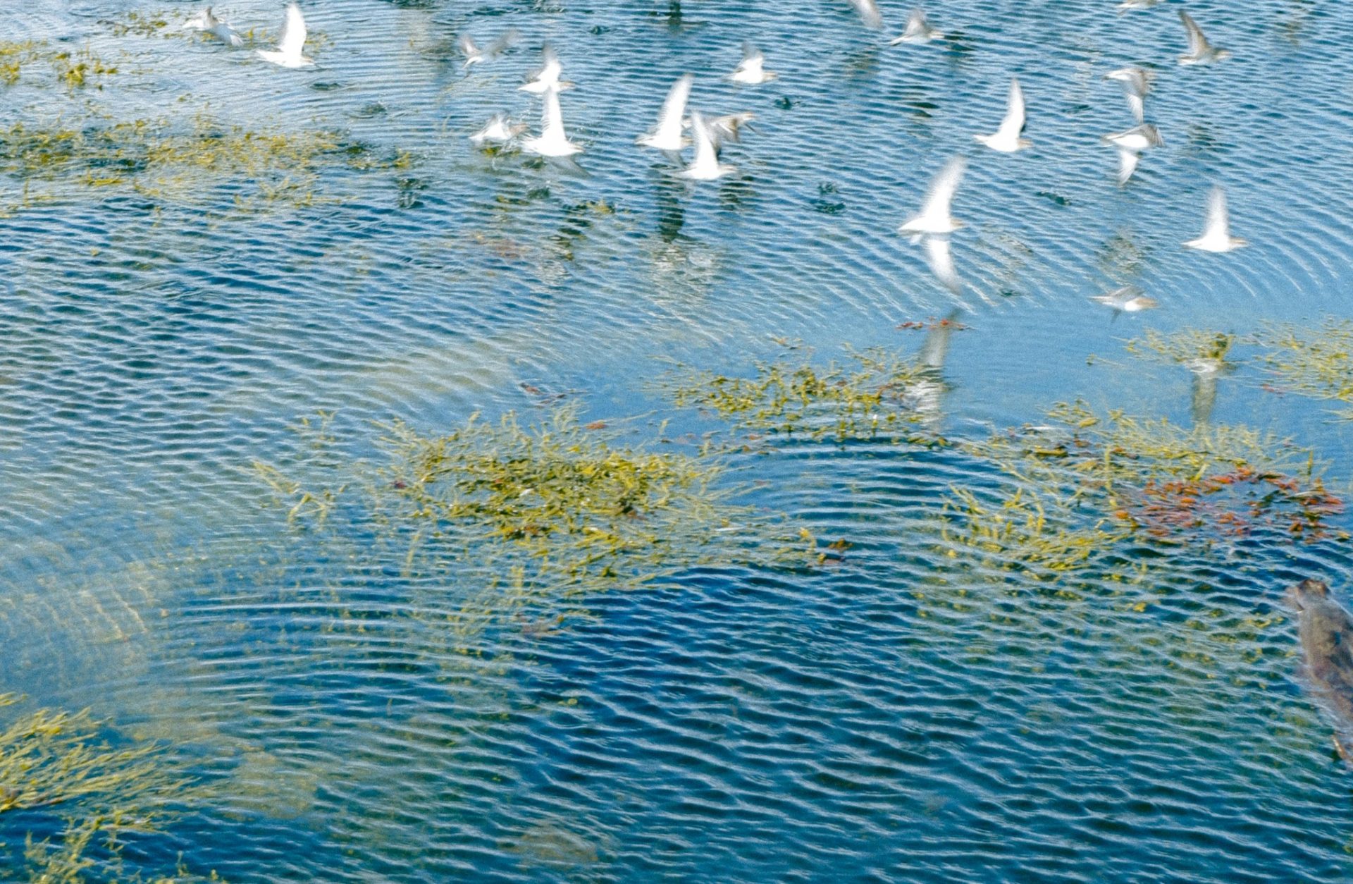 FEC Recruits New Affiliated Projects: BUFFERS and ECOSYNC - Future ...