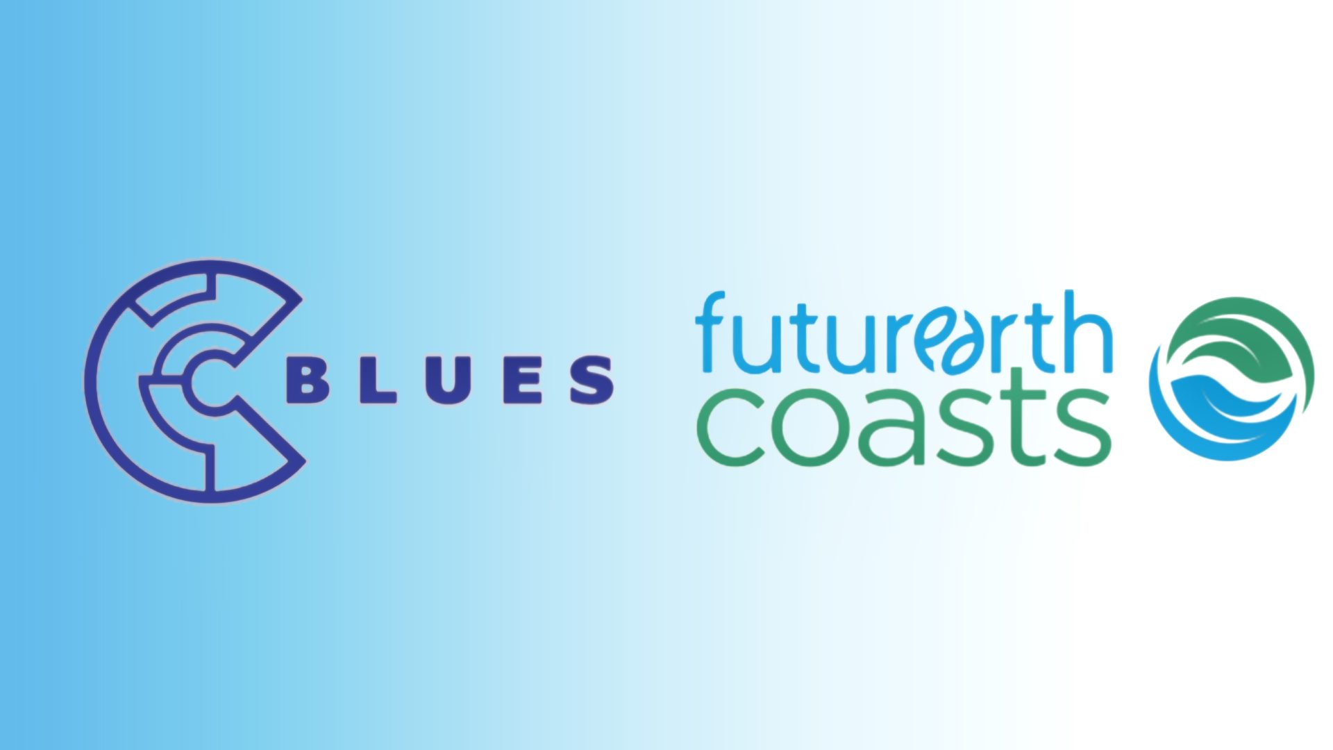 FEC and C-BLUES/BLUE-C Join Forces for Blue Carbon and Coastal ...